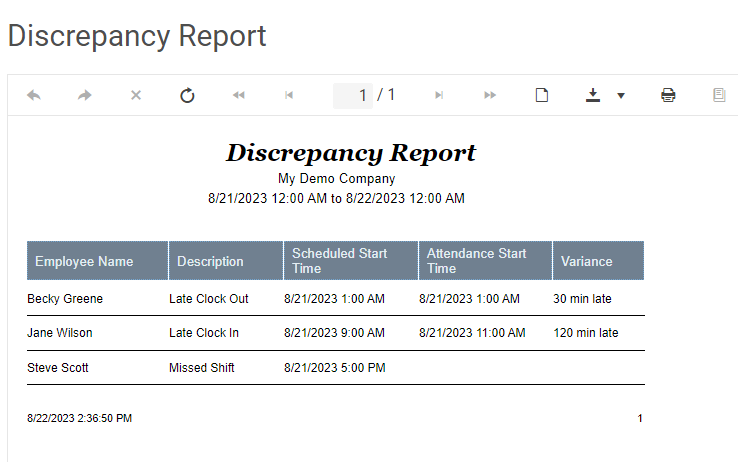 Discrepancy Report